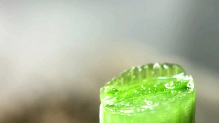 你知道种植韭菜的生长速度有多快