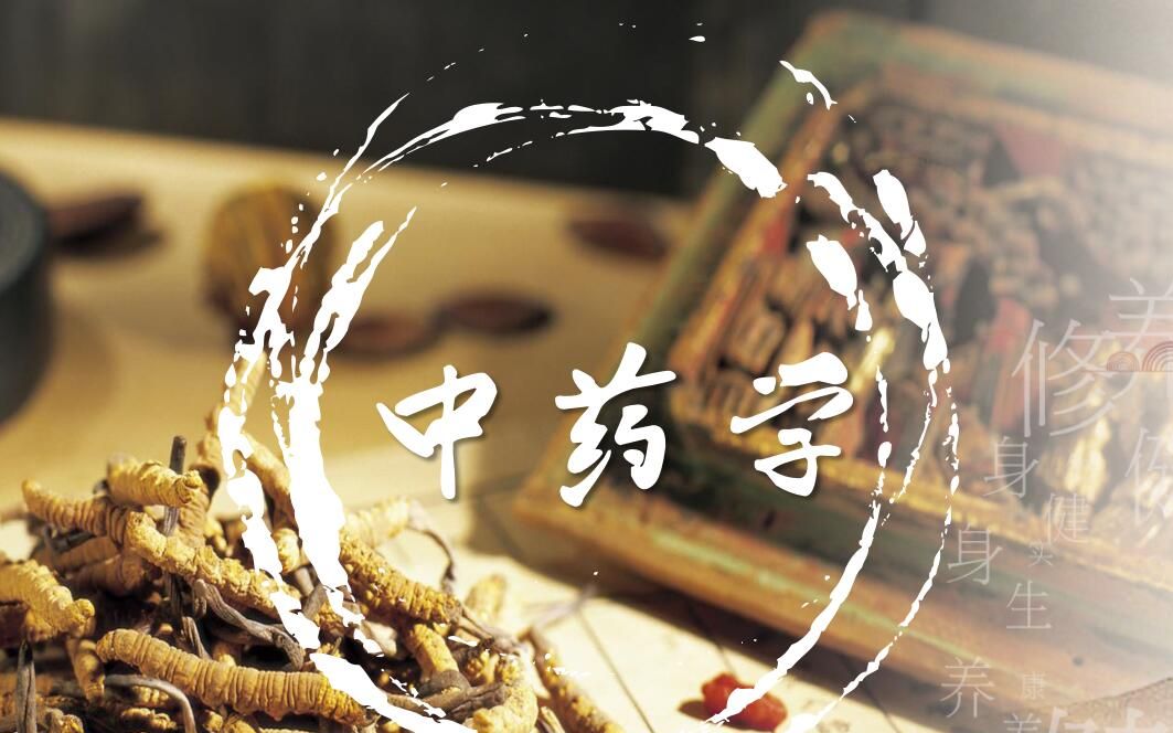 【Z14】中医药学VS中医入门+中医基础课程