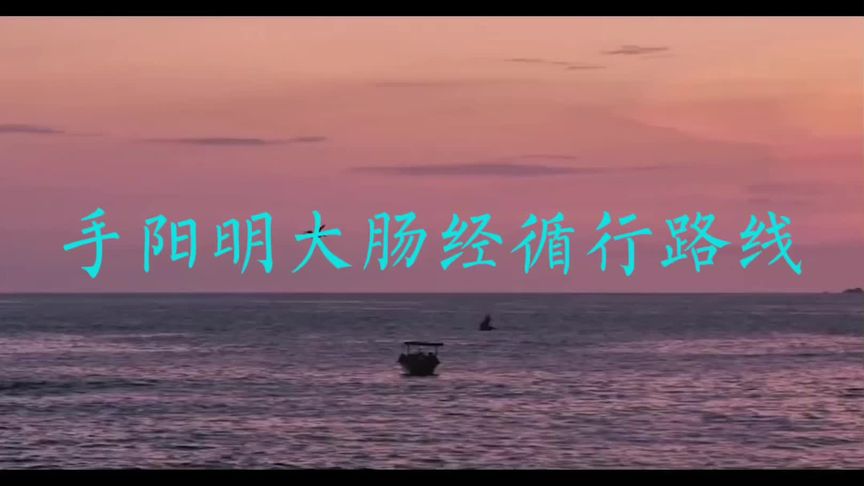 手阳明大肠经循行路线#中医 #中医传承 #中医养生 #国学文化