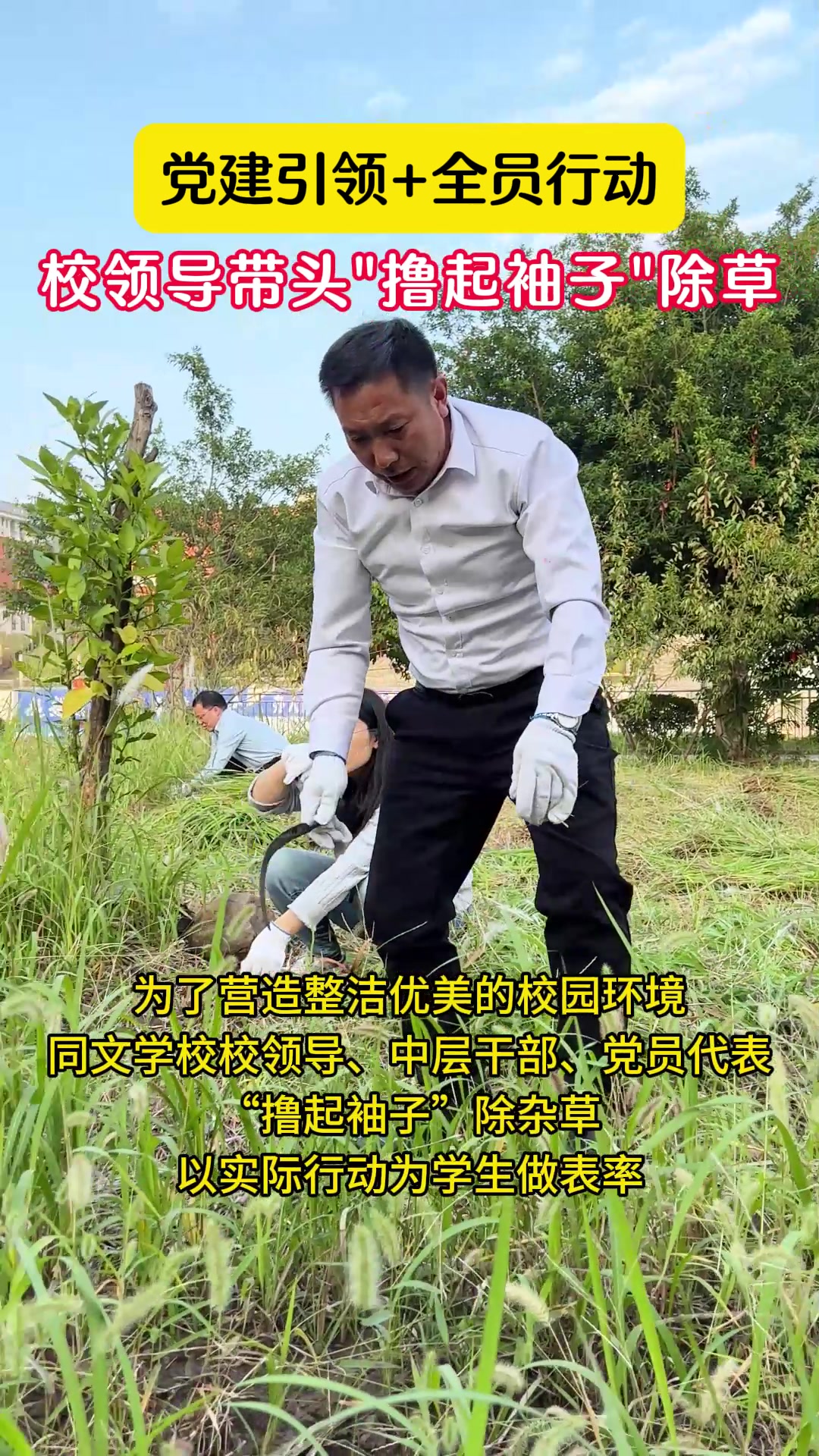 党建引领+全员行动!同文学校校领导带头“撸起袖子”除草! #校长 #...