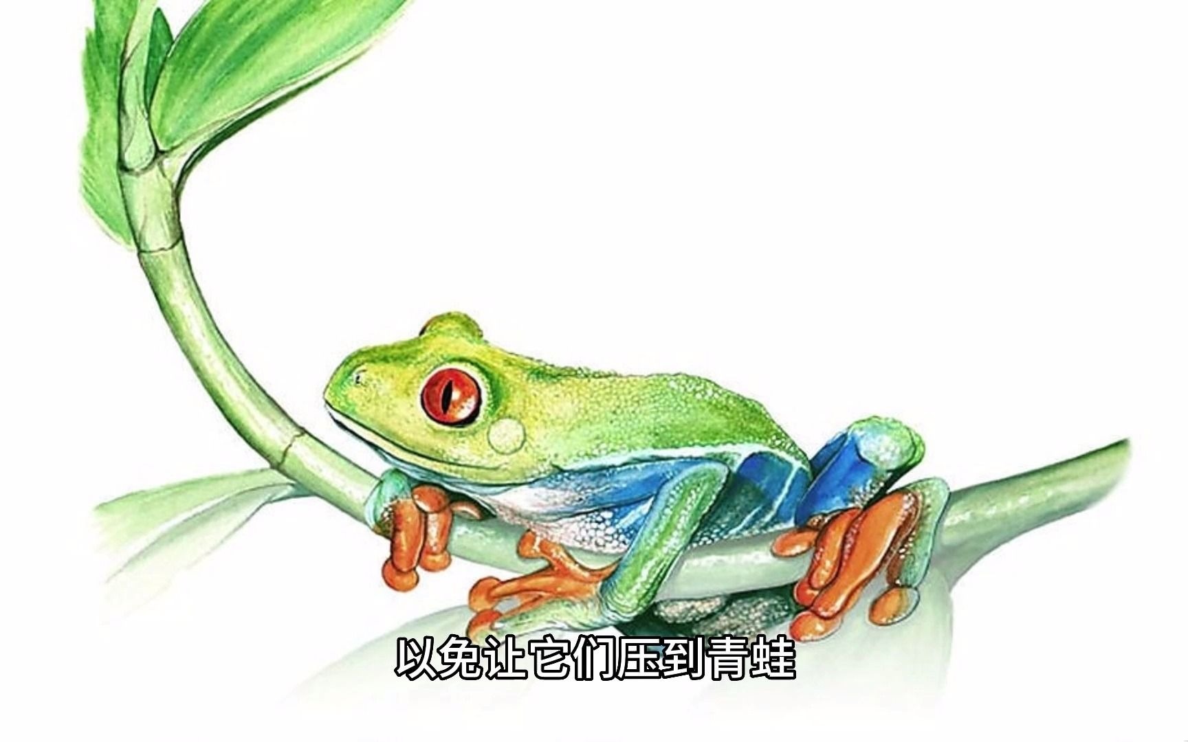 1-【益智游戏解说】老人必爱的青蛙祖玛中文版合集,教程+安装包免费...