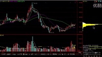技术指标 K线 均线 分时图 成交量 趋势线 MACD KDJ BOLL 江恩理论 ...
