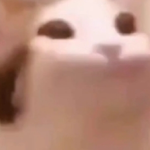 脑虎折纸 