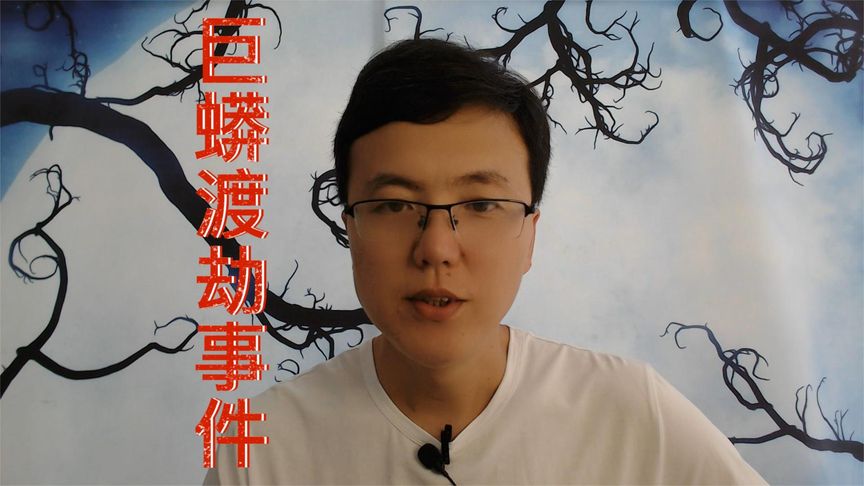 1995年安徽巨蟒度劫事件