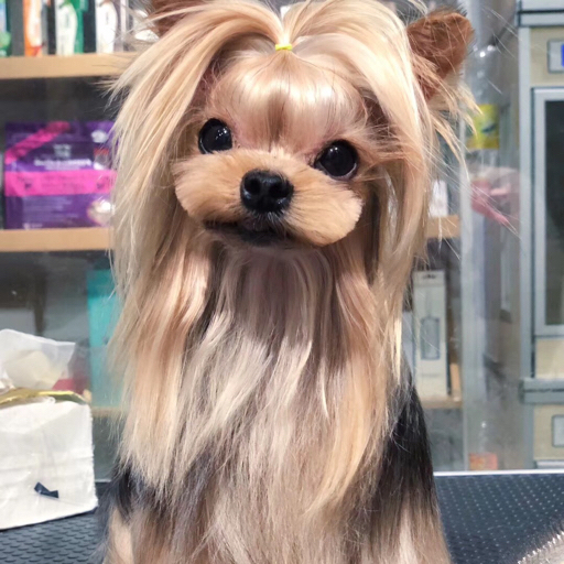 恋上雯雯 