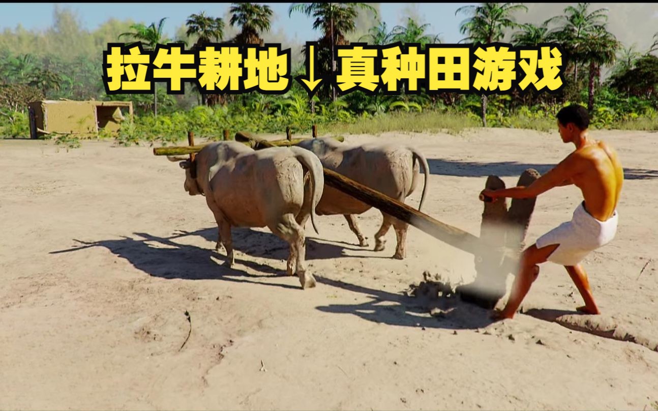 成为古代种田佬 养牛种地赚钱娶老婆 古代农场模拟器 上线STEAM