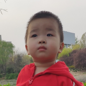 maodou2022 