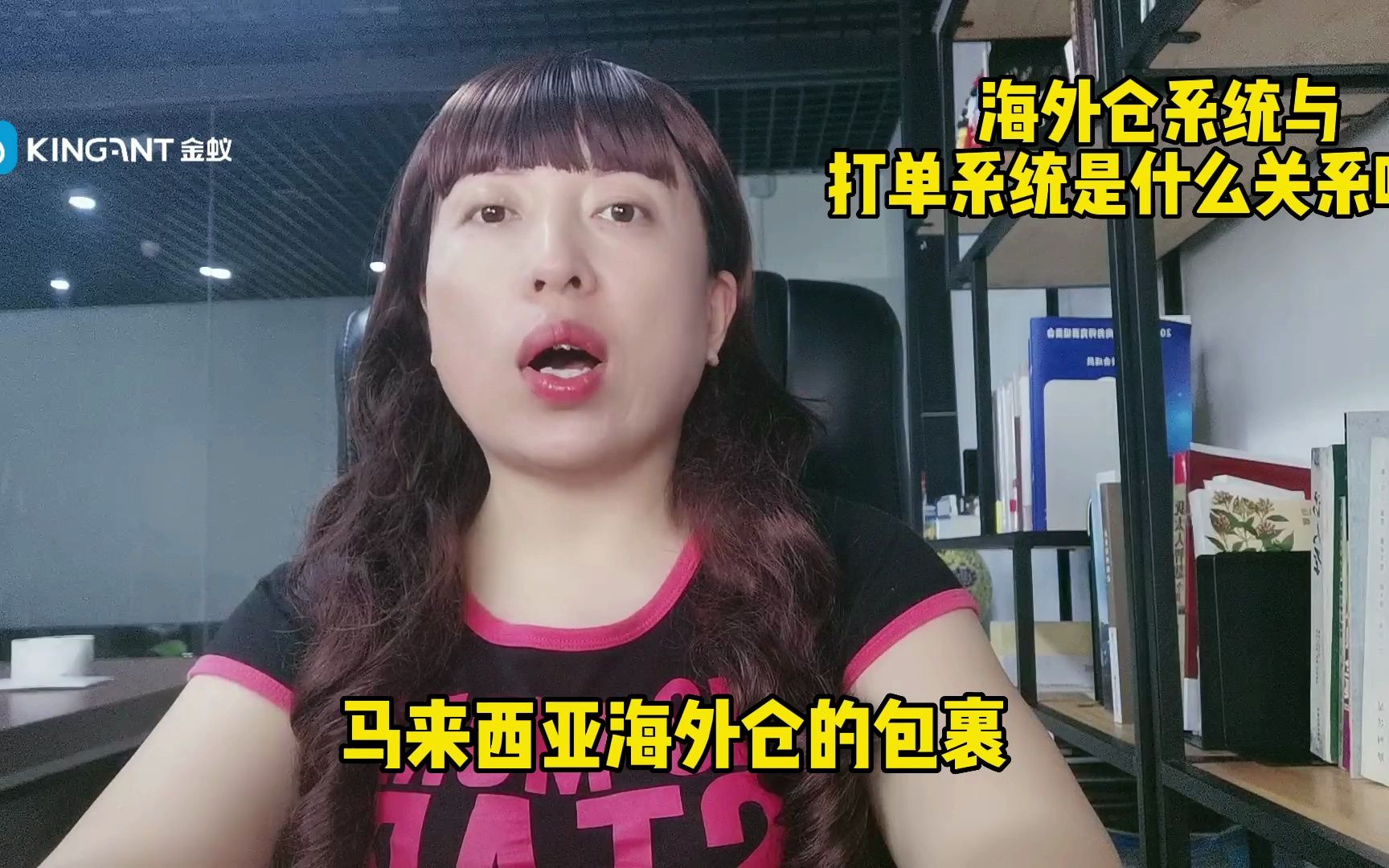 海外仓系统与打单系统是什么关系呢?-金蚁介绍