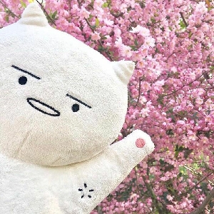 鱼骨熊熊 