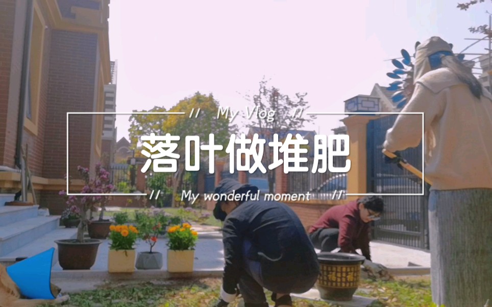 用樟树的落叶堆个肥,突然有种深秋的错觉