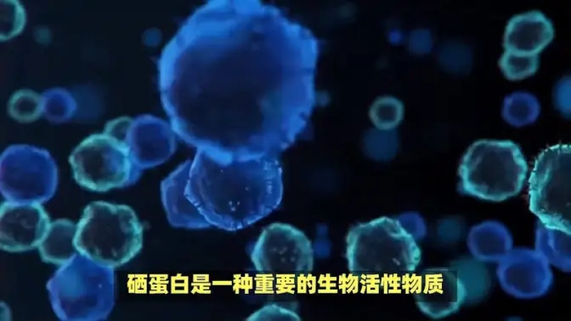 食品添加剂 硒蛋白的应用介绍