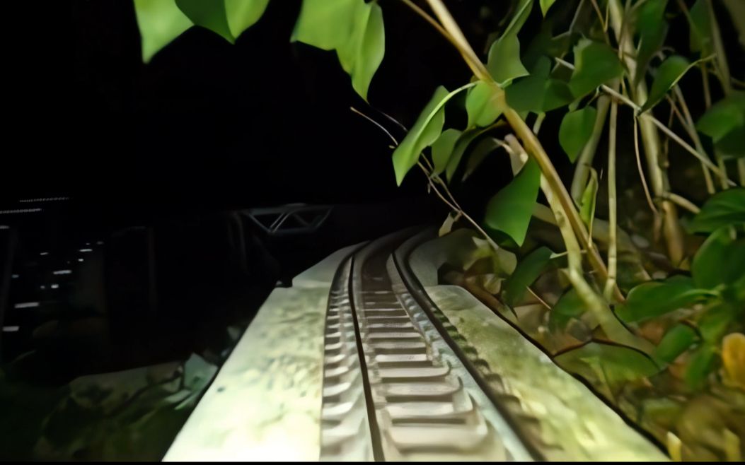 【模型轨道】模型火车夜间环绕自家花园