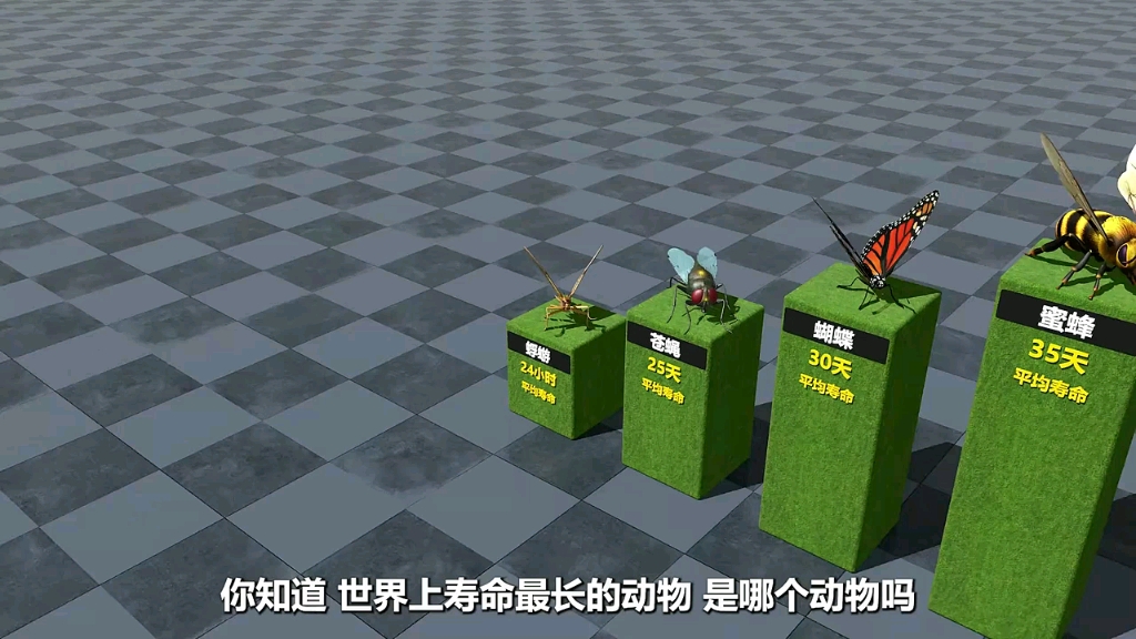 你知道世界上寿命最长的动物,是哪个动物吗?