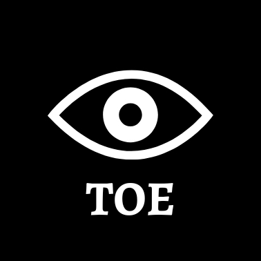 进化指南TOE 