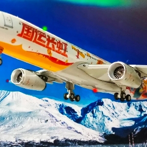 TigerWings1239 