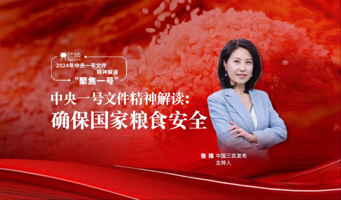 三农三人谈丨2024年中央一号文件精神解读:确保国家粮食安全