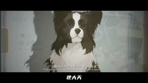 震惊!一条狗居然是六星角色