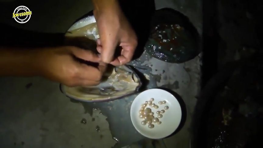 中国珍珠生产过程,直接从贝壳里取出来的珍珠非常漂亮