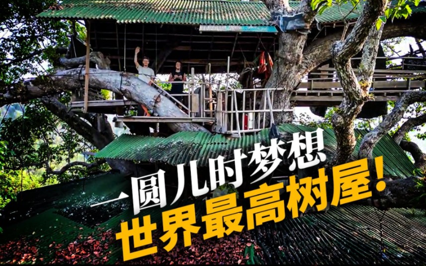 世界最高的树屋 | Gibbon Experience - 老挝最有名的旅游景点之一!但没...
