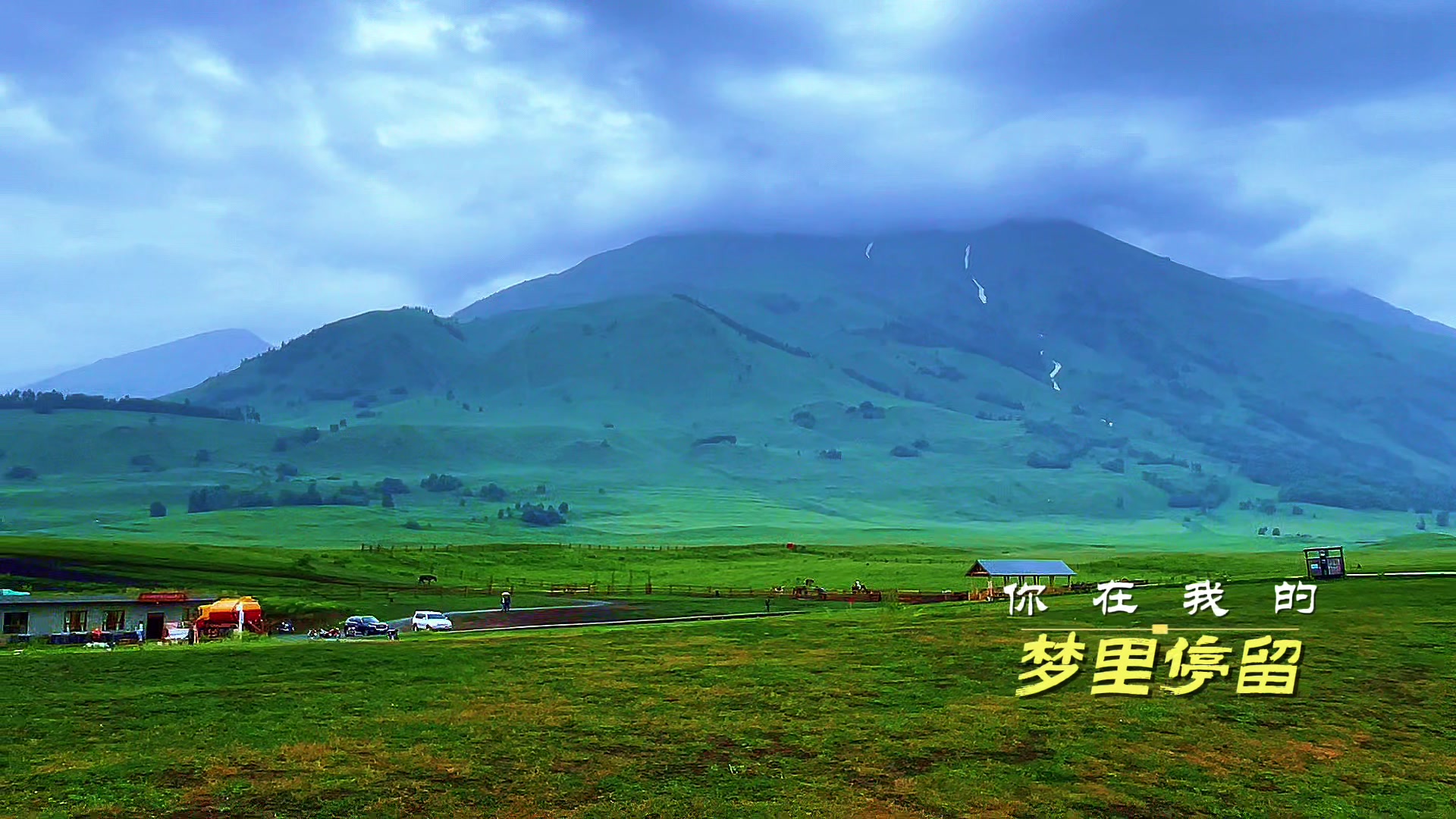 白桦林 #手机原创摄影 #原创视频 #新疆禾木 #大山深处的自然风景