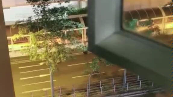 【洗脑循环】港警唐僧式喊话示威者