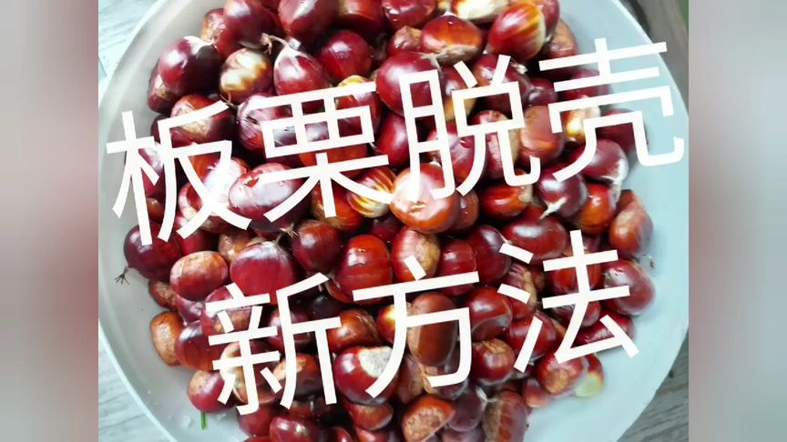 板栗成熟了,大家来看看,怎样,去除板栗的外壳和内壳