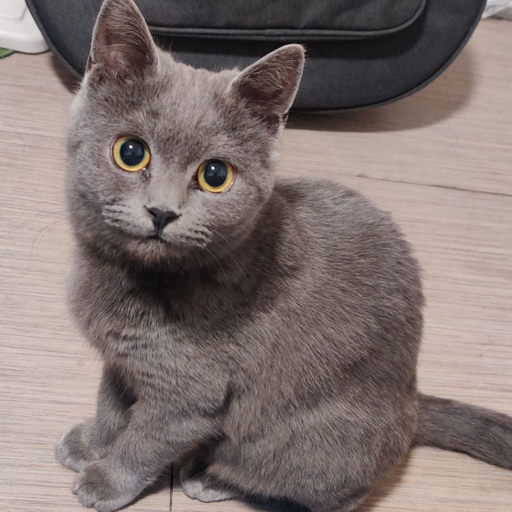 一位健壮的肌肉猛男 