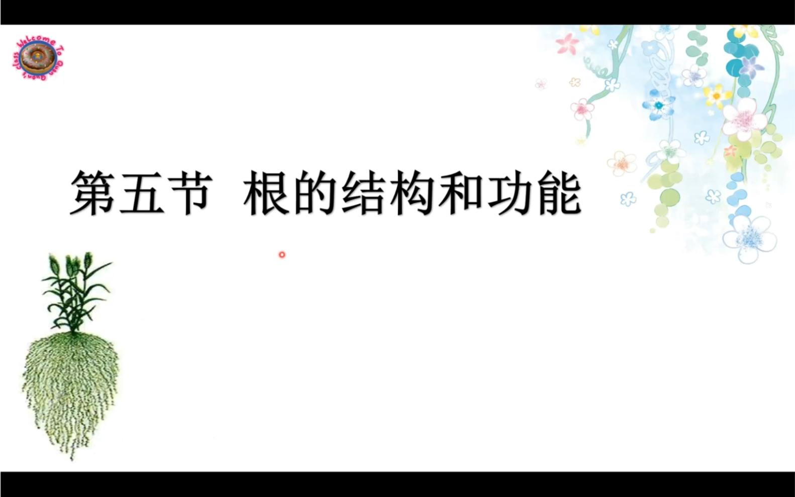 济南版初中生物八年级上根的结构和功能