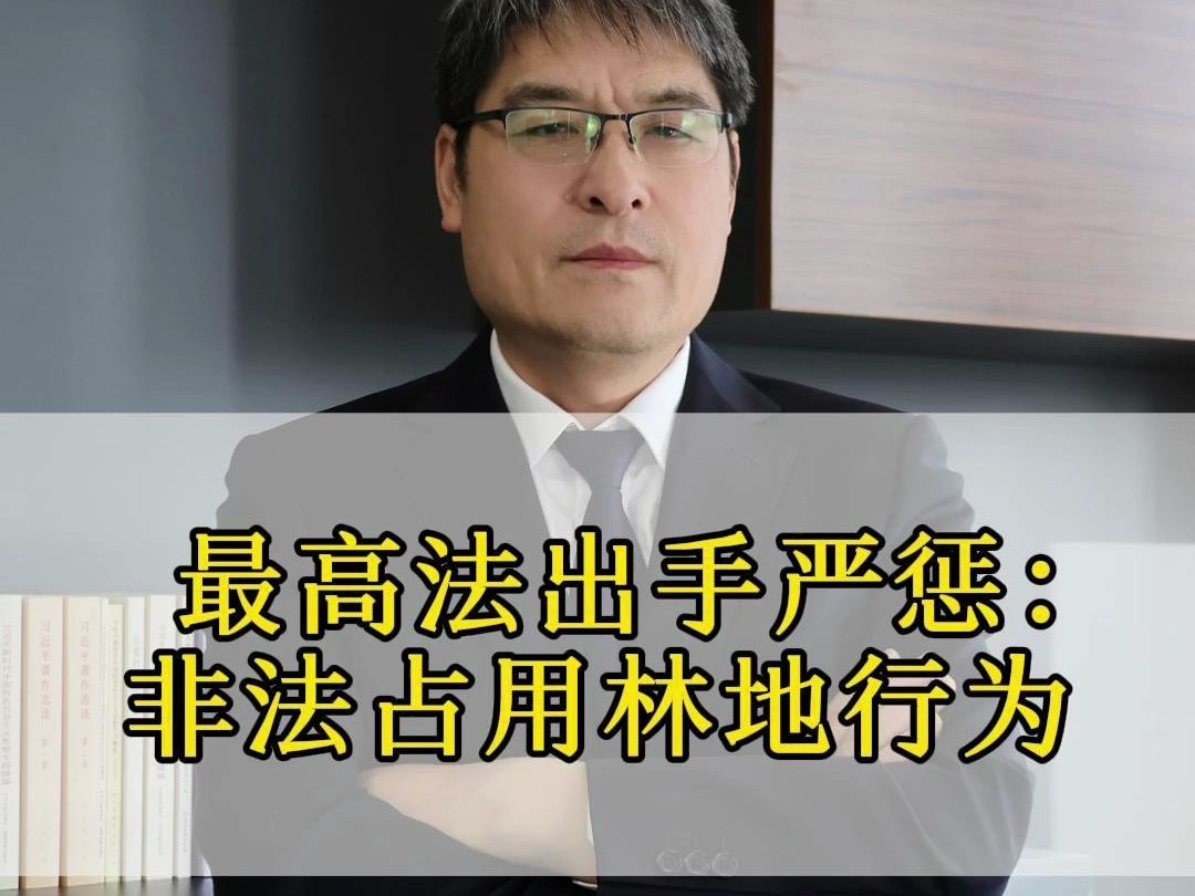最高法出手严惩:非法占用林地行为!