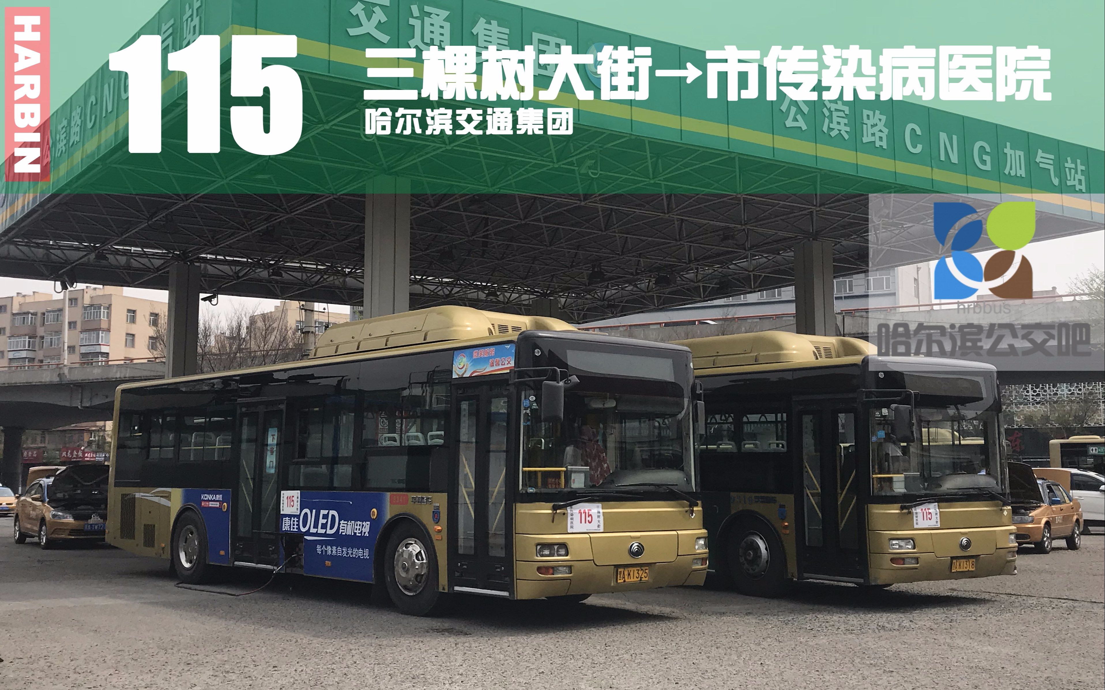 【冰城夏都HD#115】哈尔滨公交115路POV(三棵树大街→市传染病...