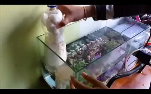DIY自制鱼缸过滤系统 水族箱