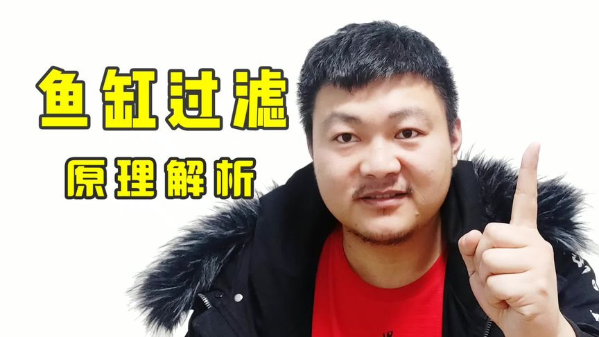 鱼缸过滤解析,看看你的过滤是否正确?