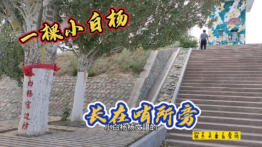 四台车到小白杨哨所,这是红色教育基地了 ,唤醒五零后的记忆 。