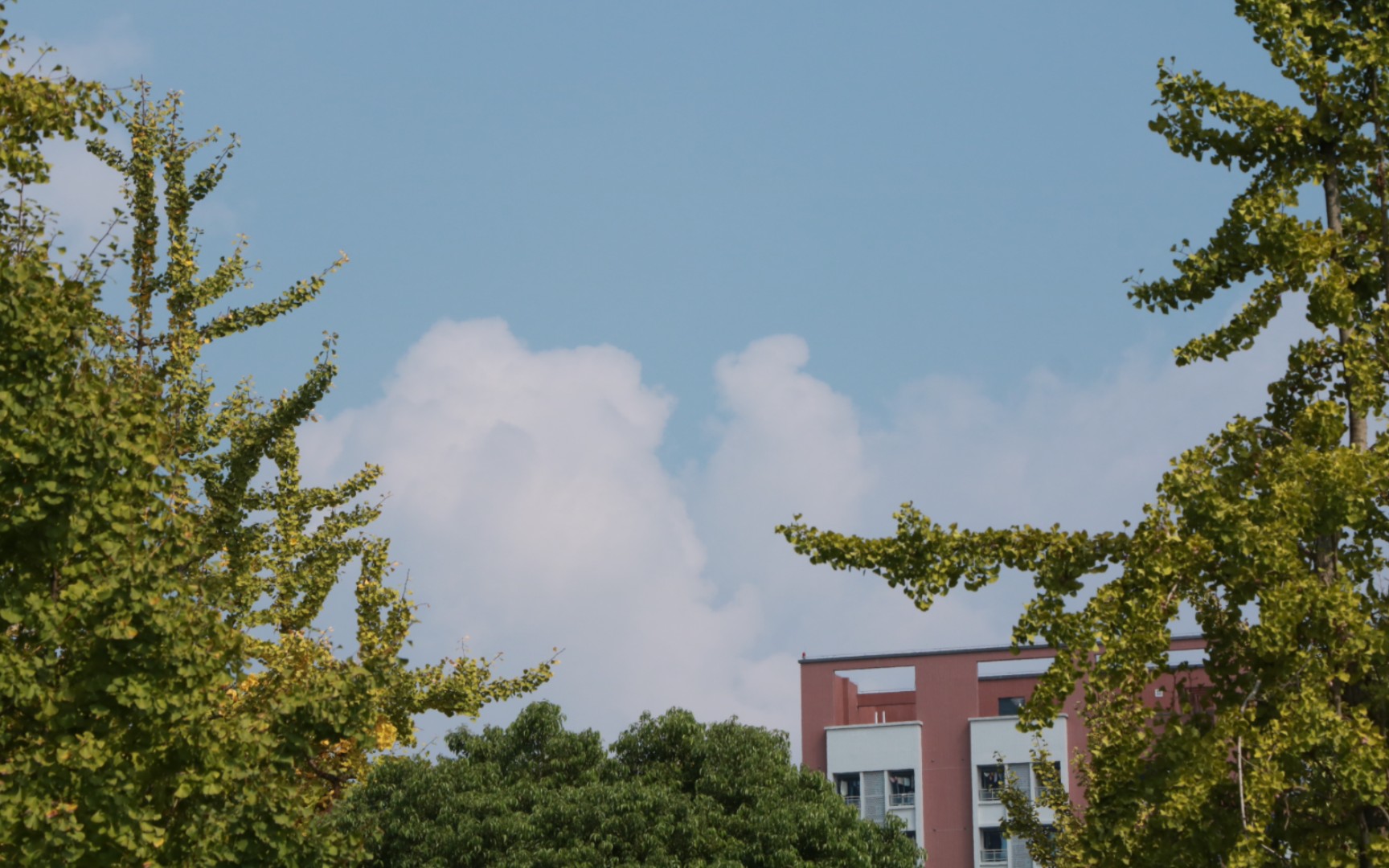 【校园风景】江 安 如 画