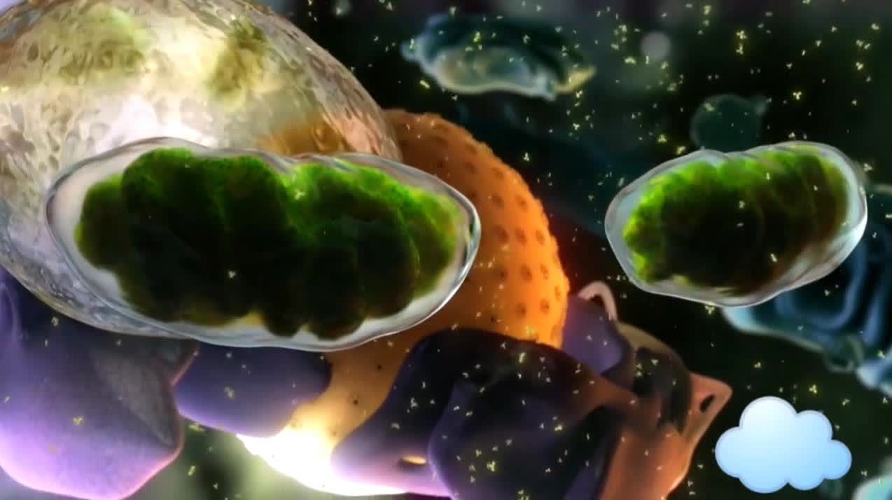 微观:游离基损伤也称为氧化压力,是人体在分子作用中的副产物