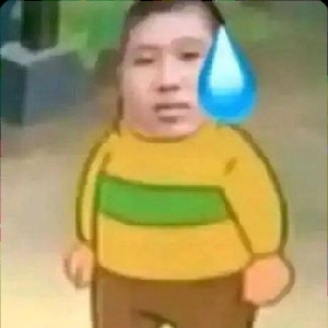 极北鲸鱼 