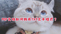 如何把PDF文档如何转成TXT文本格式?—江下办公