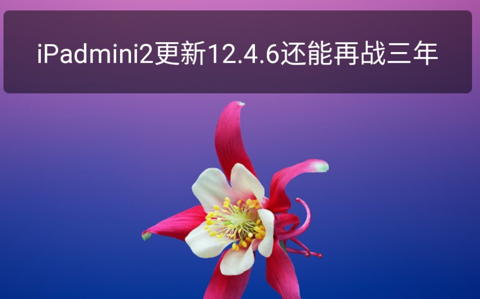 iPadmini2更新12.4.6还能再战三年!