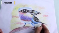 简笔画教程书 大全 哆啦a梦画画笔法视频