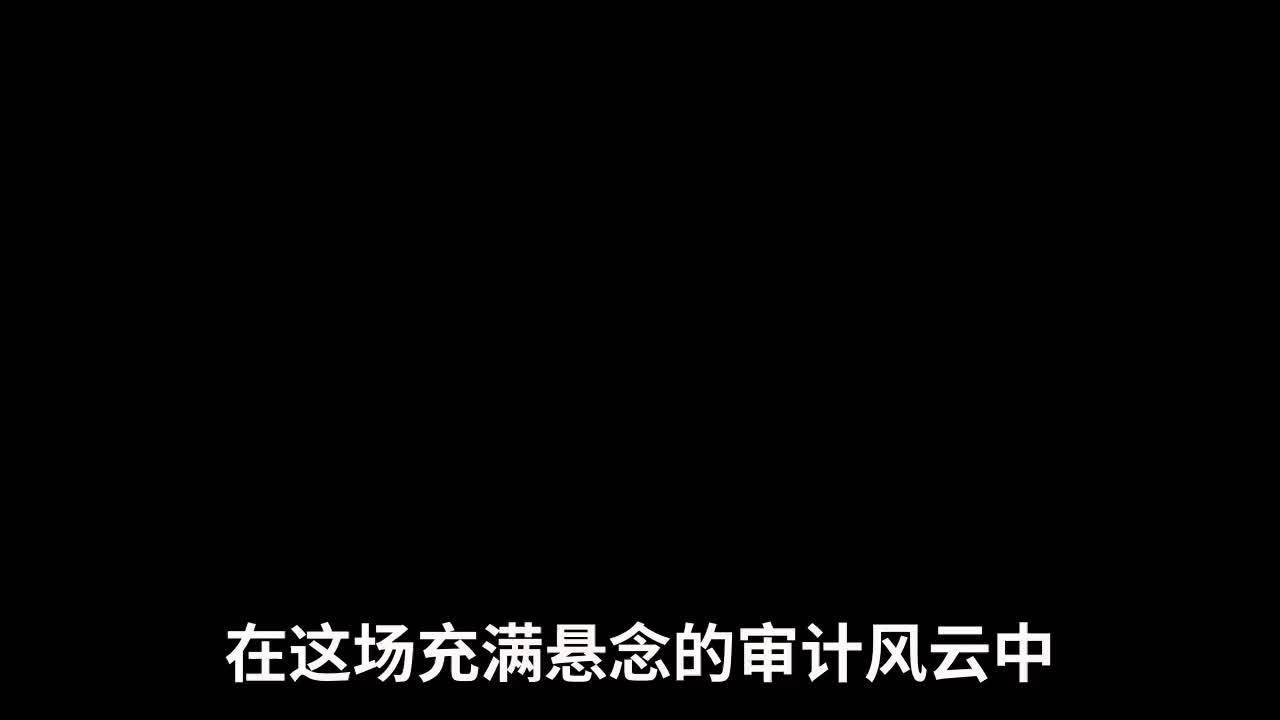 审计风云:优盘失踪,新证据引新悬念
