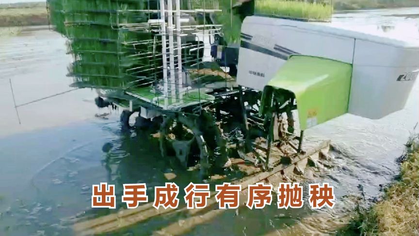 出手成行,有序抛秧!水稻种植新利器!