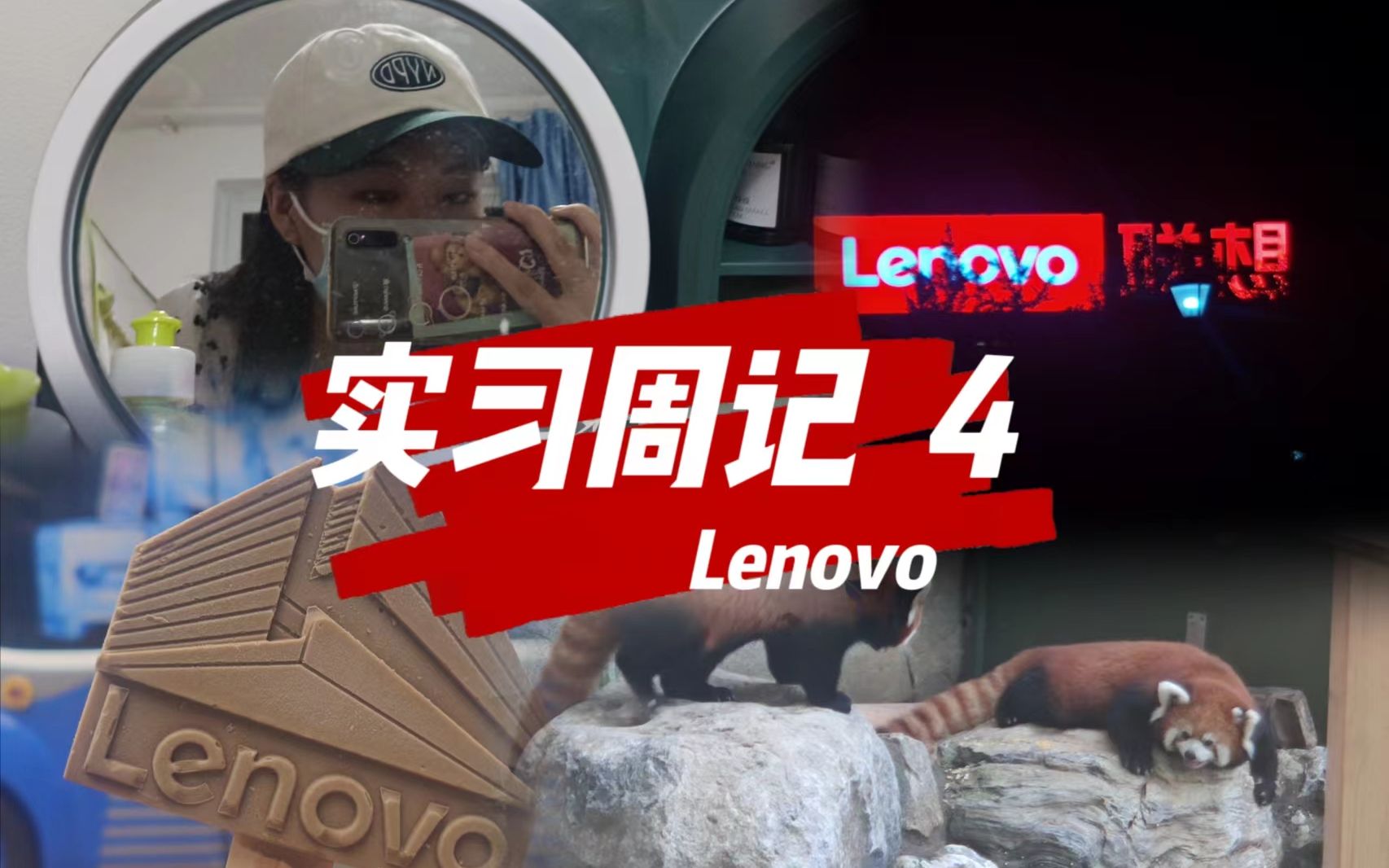 【123的实习周记】|联想实习生欢迎会|大兴野生动物园