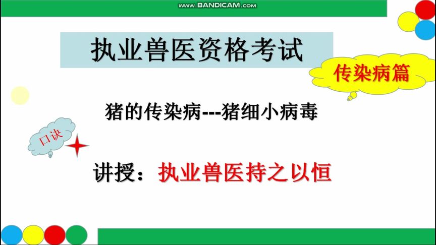 执业兽医资格考试--预防科目--猪的传染病学--猪细小病毒前奏