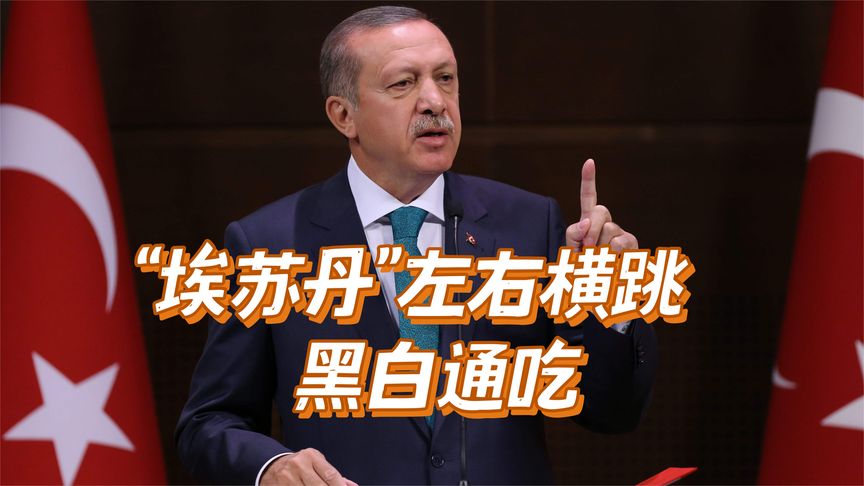 土耳其调解俄乌冲突是假,“两边通吃”是真
