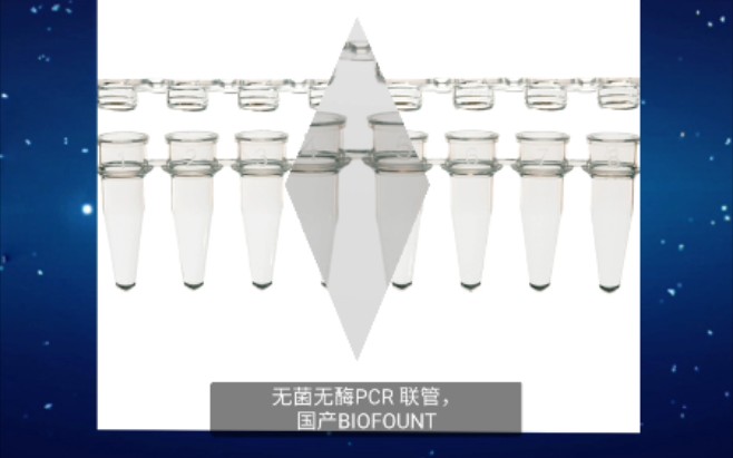 无酶PCR八连管,0.1ml0.2ml,国产BIOFOUNT