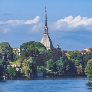 诨名唤作特里诺 