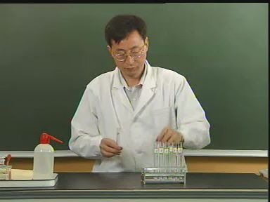 10探究PH对酶活性的影响