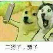 林嘉树andel 