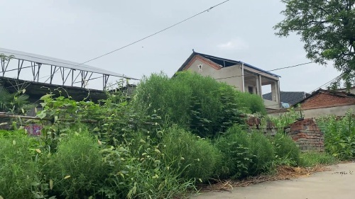 晨曦初露,乡村的宁静与繁忙交织出怎样的故事?