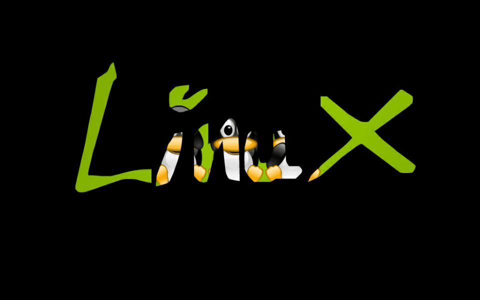 Linux From Scratch 8.2 - Episode 1 Host System-2